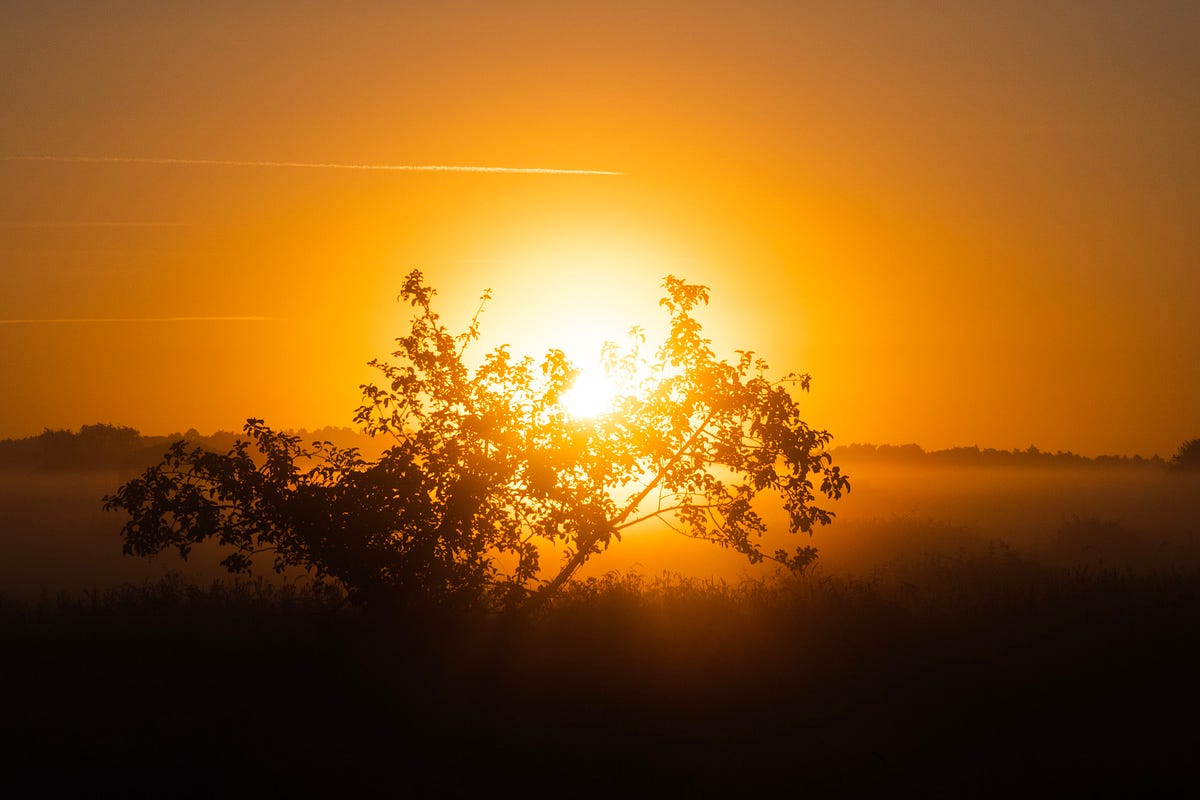 Numpy And Opencv Tutorial For Computer Vision Tds Archive 1224