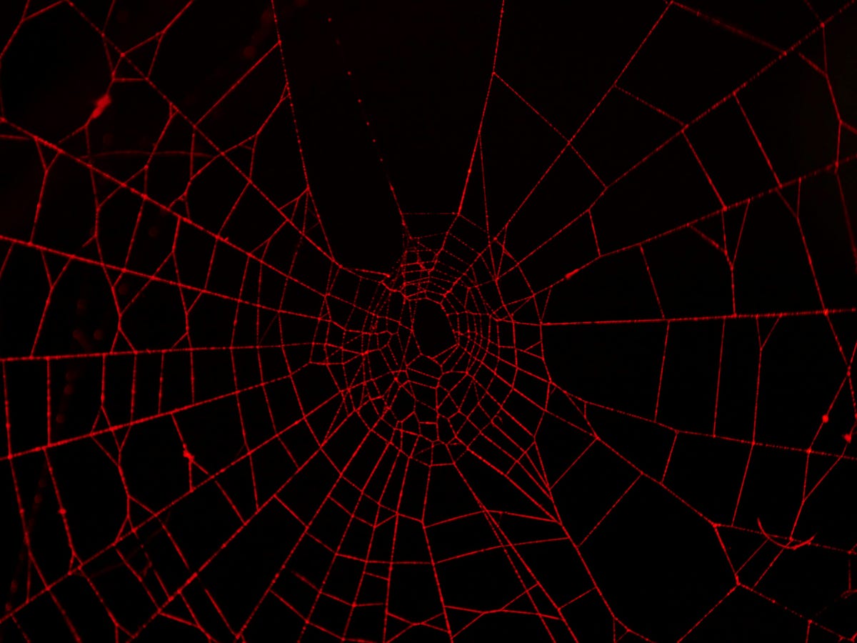 The Trapdoor of the ‘Holy Spider’ | by Gayathri Thiyyadimadom | Counter ...