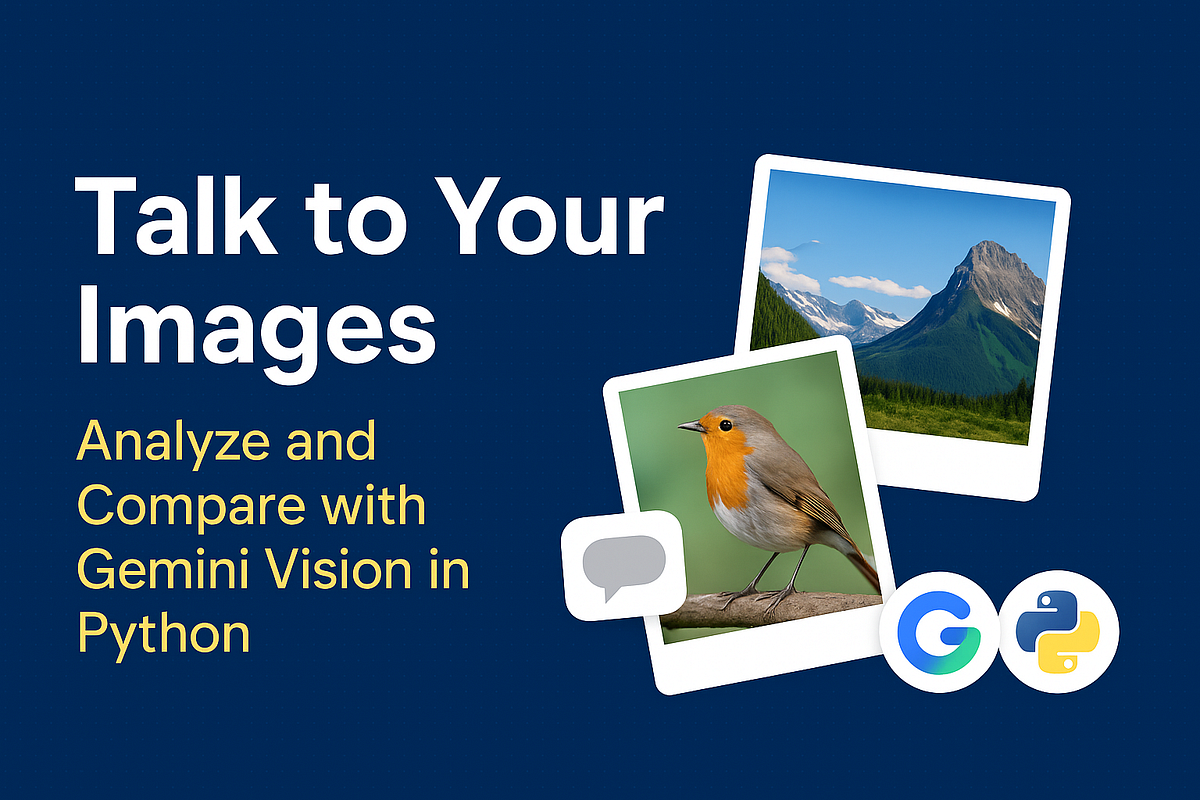 Talk to Your Images: Analyze and Compare with Gemini Vision in Python | by Rudra bhaskar | Jun ...