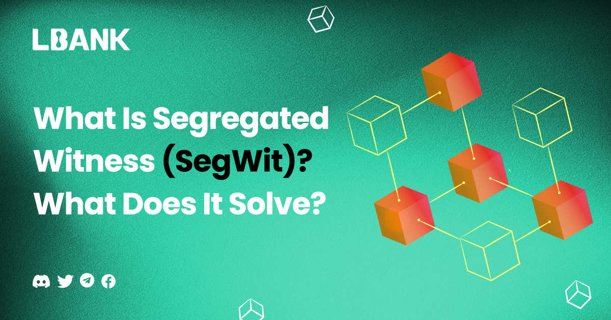 What Is Segregated Witness (SegWit)? What Does It Solve? | by LBank ...