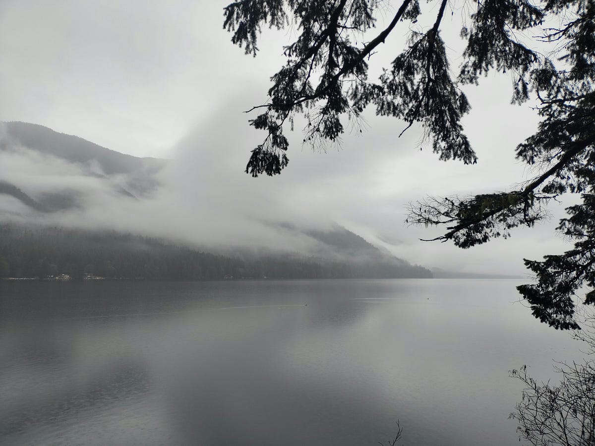 Gray day. Gray days should also be appreciated | by Jonni Martins | Dec ...