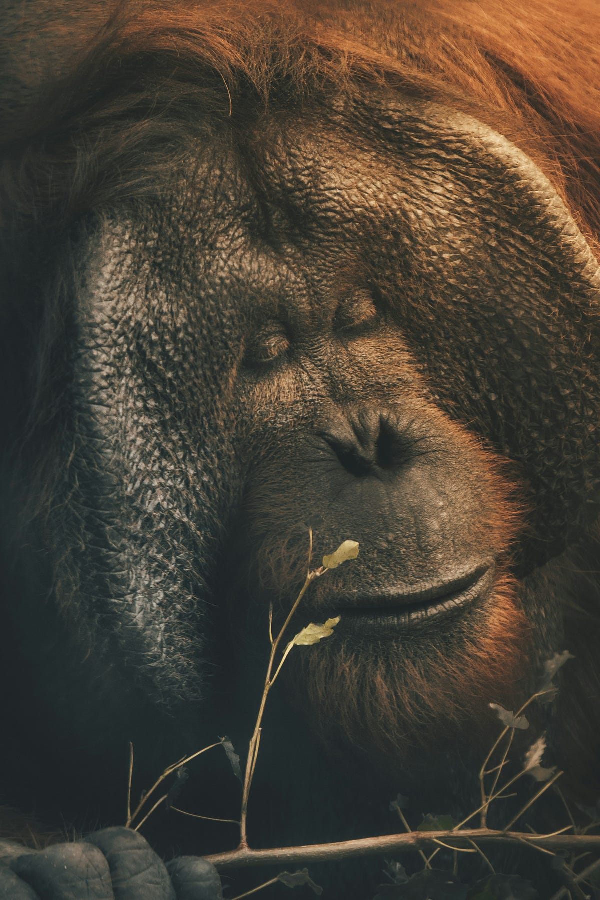 Why Evolution Gave Us a Clock: Theories Behind the Circadian Rhythm ...