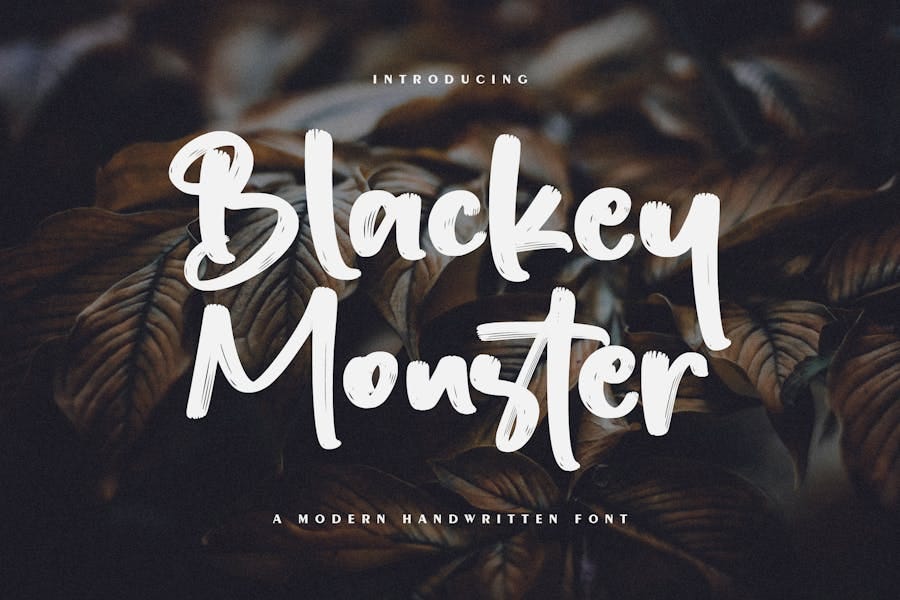 Blackey Monster Font | by ishirakawamary | Jul, 2024 | Medium