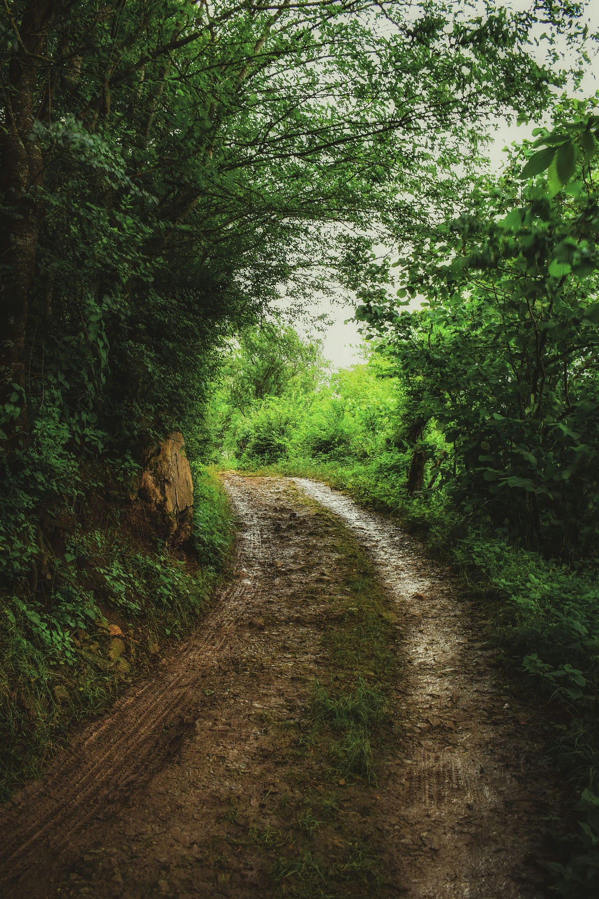 Messy Roads. We Take Messy Roads Sometimes… | by Dushyant Raj | Medium