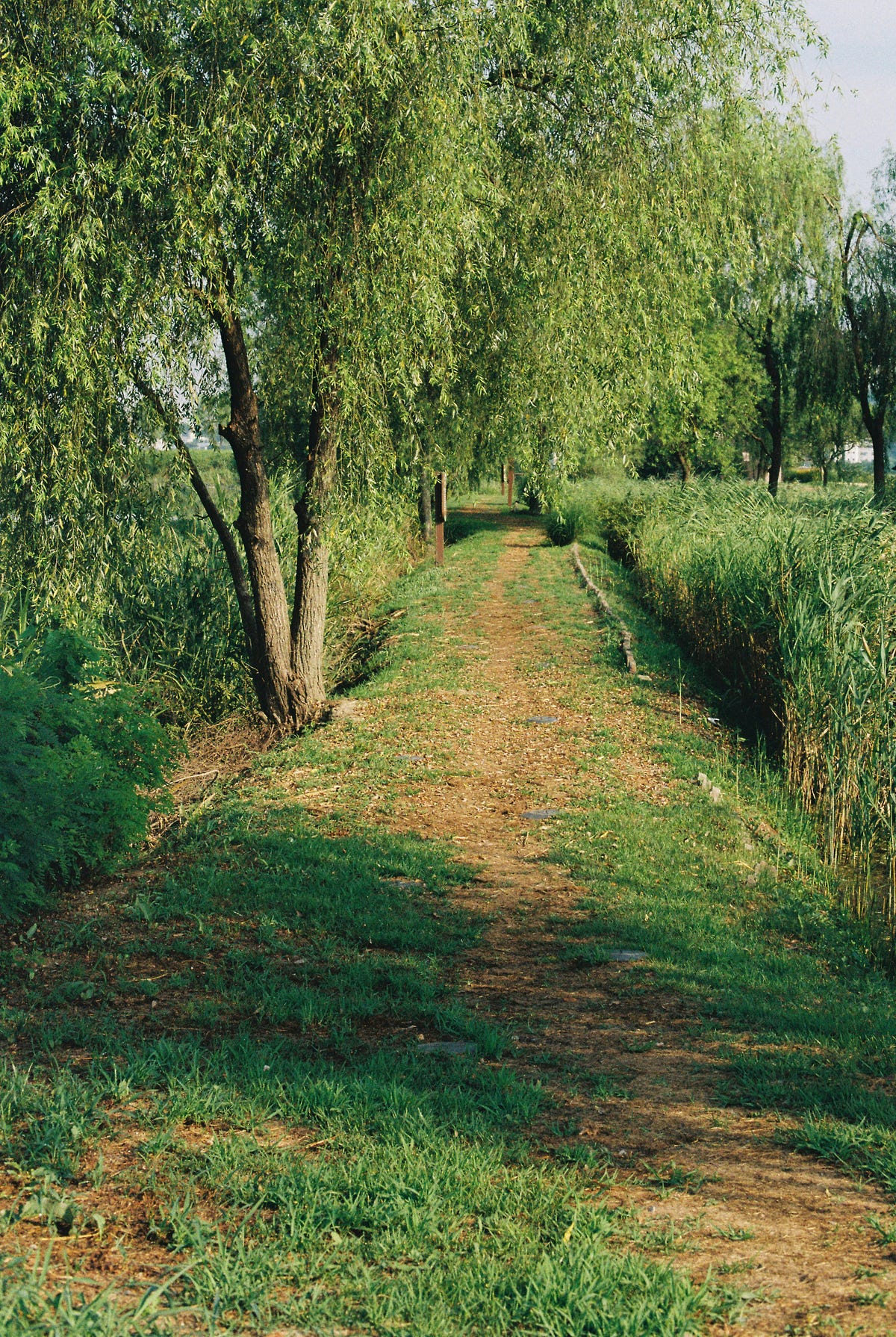 Be True to Your Own Self. Letters from The Lone Path Home | by ૐ Mantralayam Srinath | Readers ...