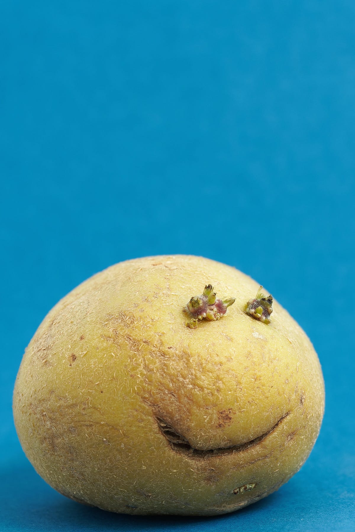 How a Potato Can Help with Negative Thoughts | by Mindy Insights | The ...