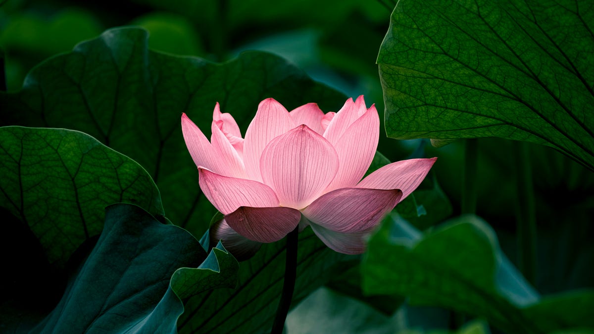 3 reasons behind Impatience. What makes some people so impatient? | by ...