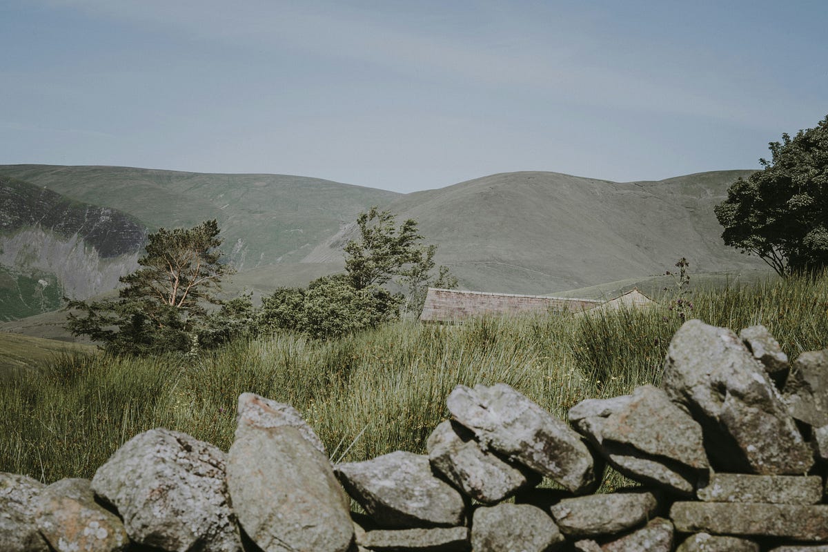 The Silent Break: The Deadliest Danger in Marriage | by Wayne Shi ...