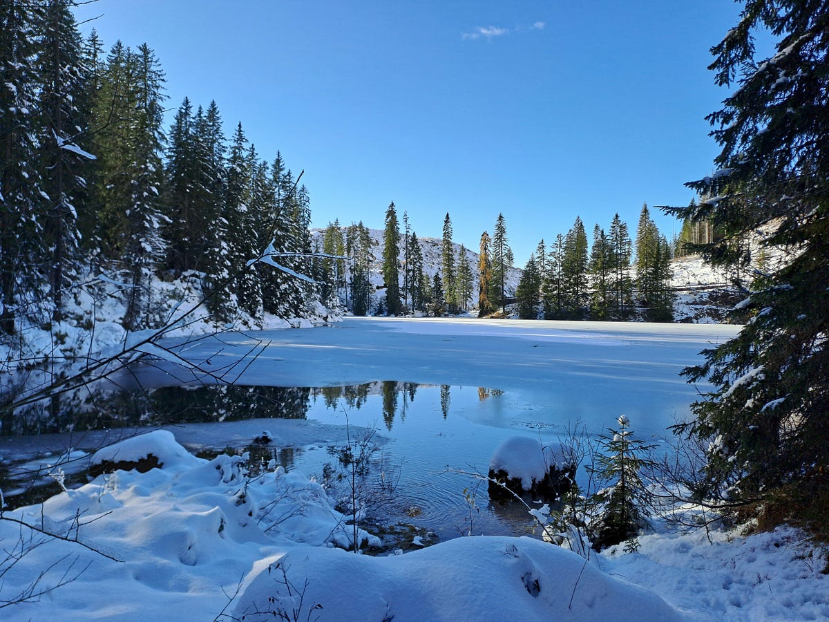 He’s Trying, Annabelle. Drabble # 341— Disengage | by Stefanie Morejon | Fiction Shorts | Dec ...