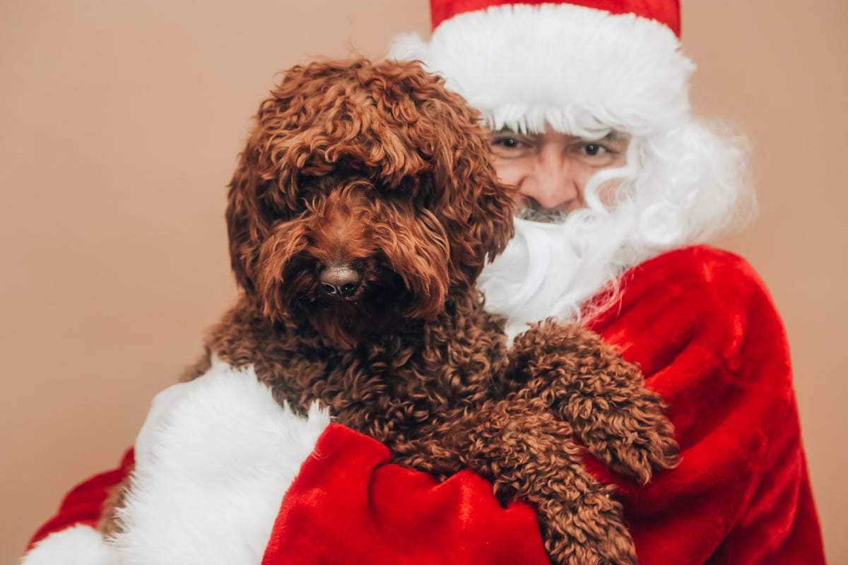 Yo Santa, Are We Even Dawgs Anymore? | by Patrick Eades | The Pub | Medium