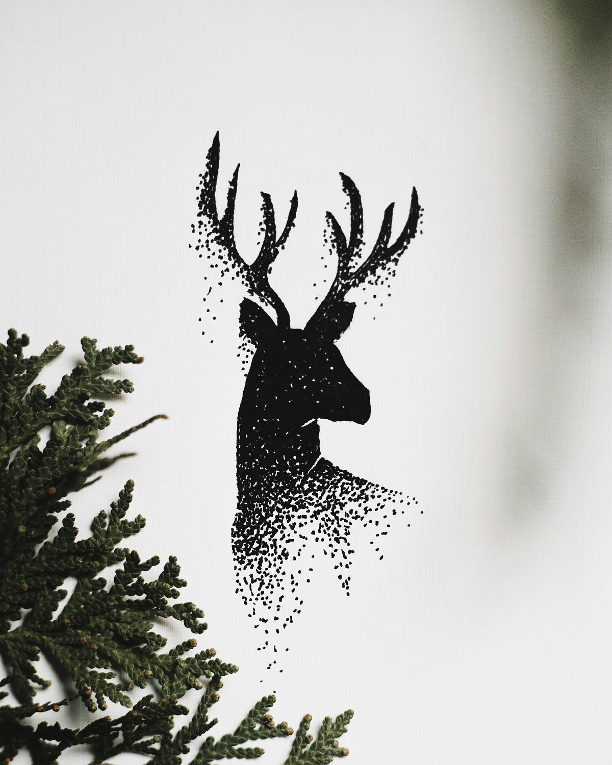 When a Golden Deer Chose to Die. What’s the nature of courage in ...