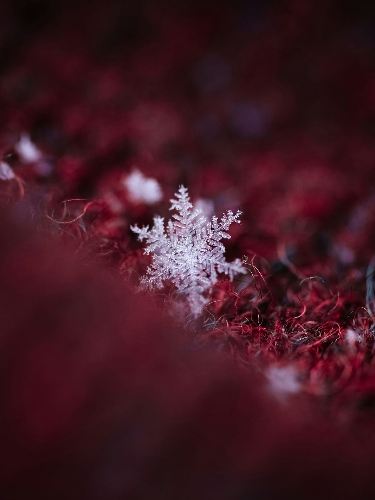 How to Set up a Free Snowflake Account | by Anish Mahapatra | Medium