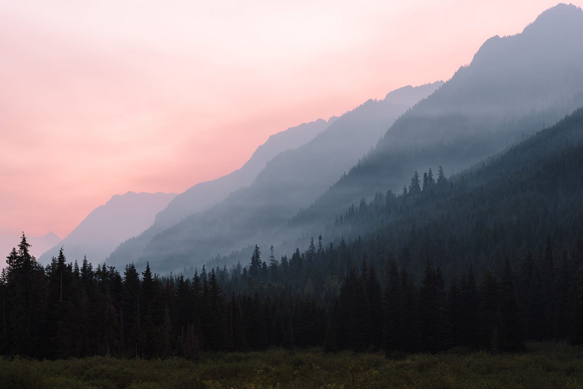 3 Main Layers of front-end development | by ManiKanta Koppala | Vue.js ...