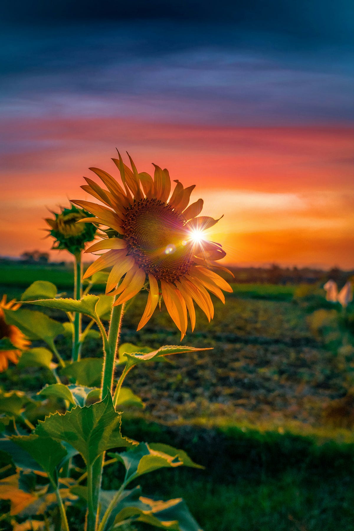 OUR STORY. Photo by rehan shaik on Unsplash | by ...