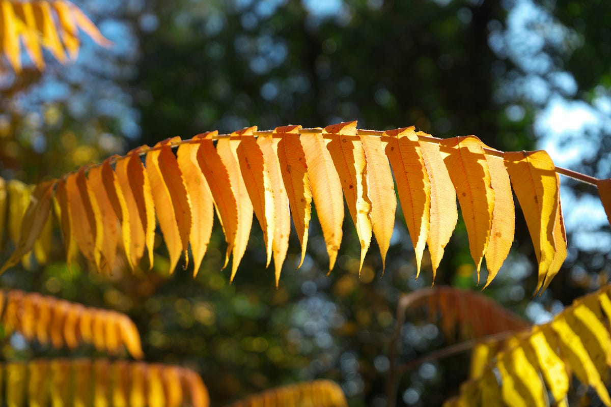 How Much Spark Do You Need? Estimating Resource Requirements (Without Guesswork) | by Shaik ...