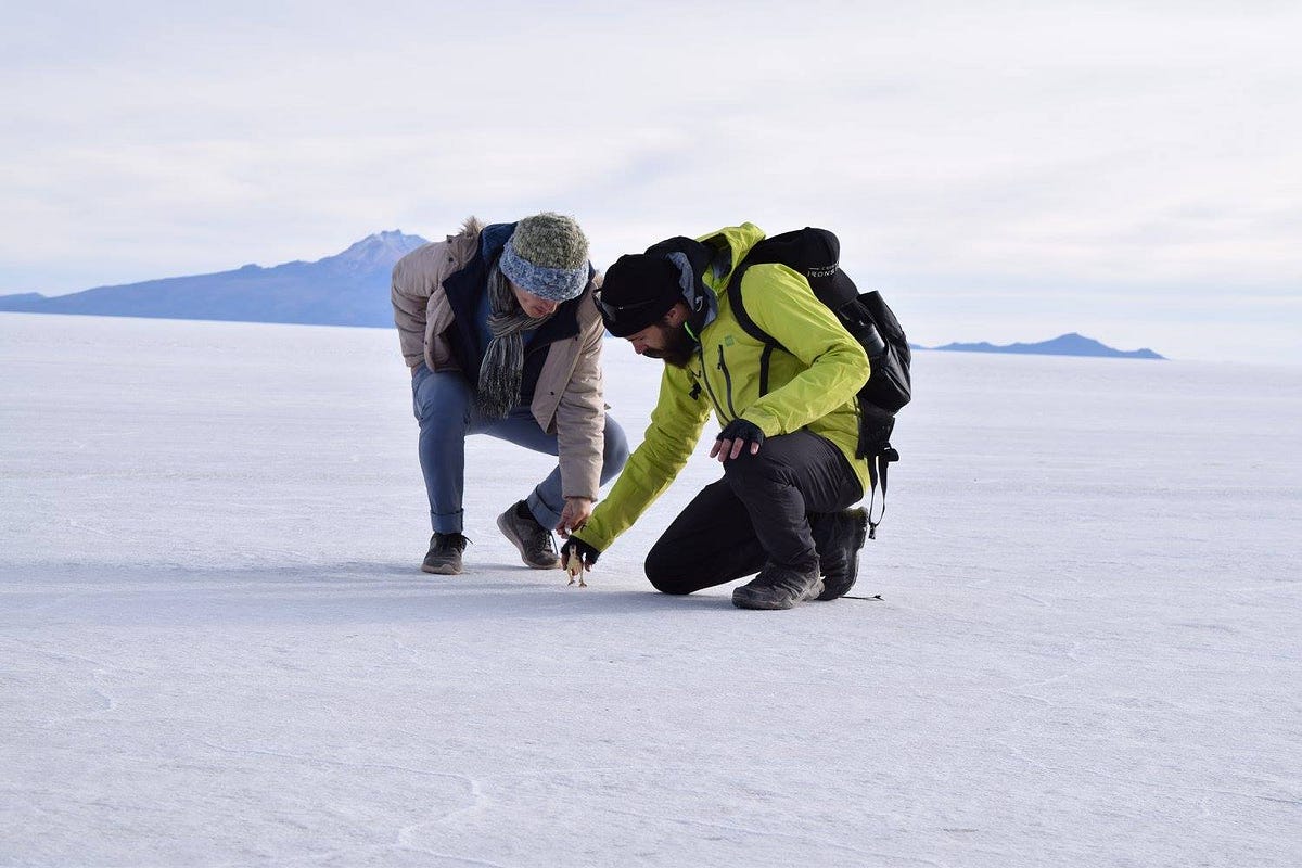 What Would You Do?. A Free Verse Poem by Joseph Panzarella | by Joseph ...