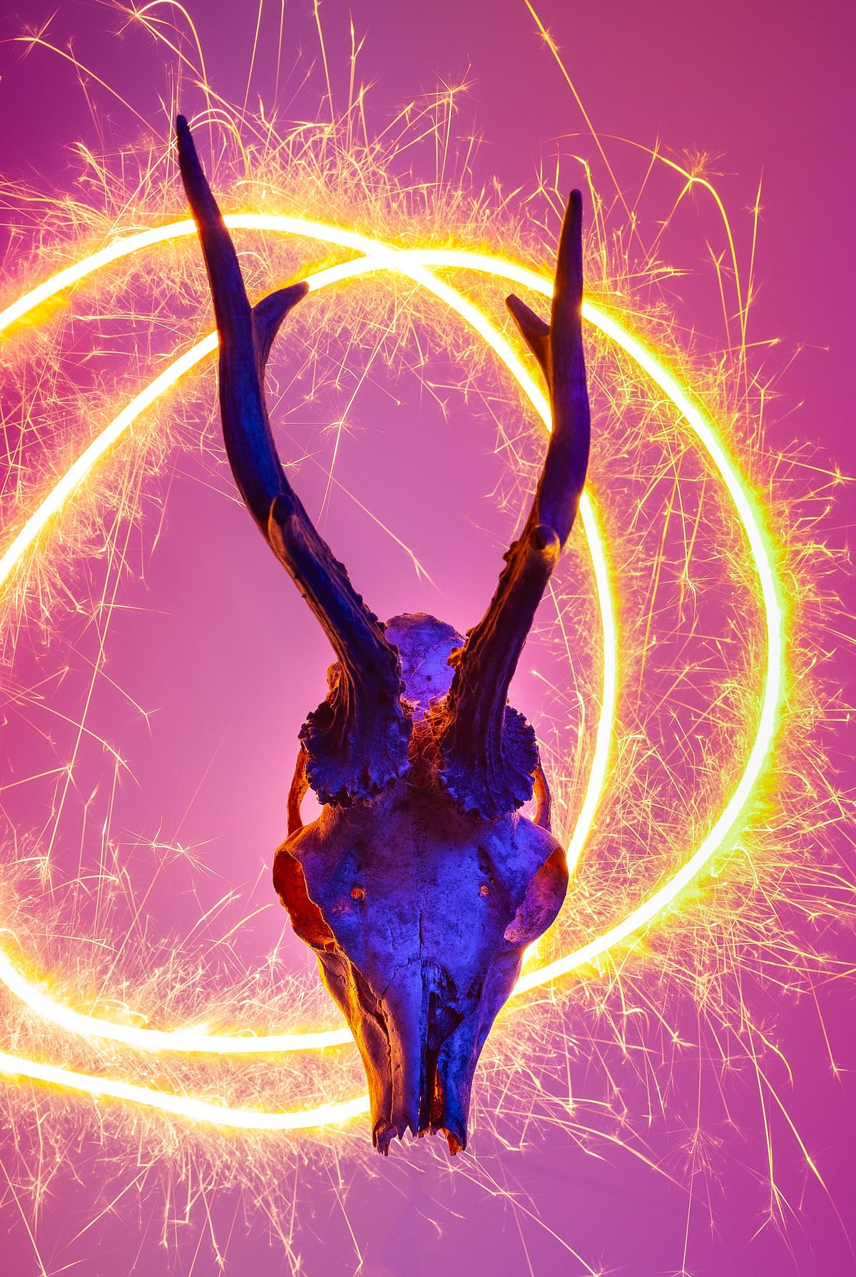 Deer Dance - 2-Bite Stories - Medium