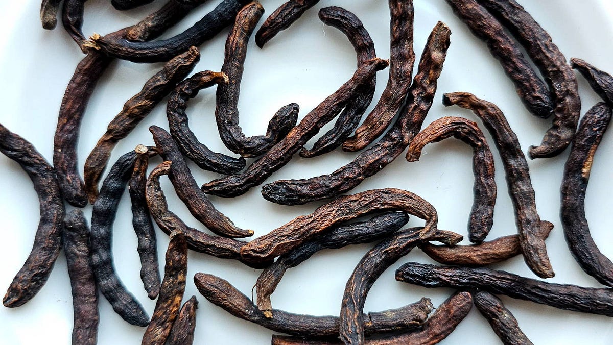 Selim Pepper: From Exotic Pods to Mystical Brews! | Medium