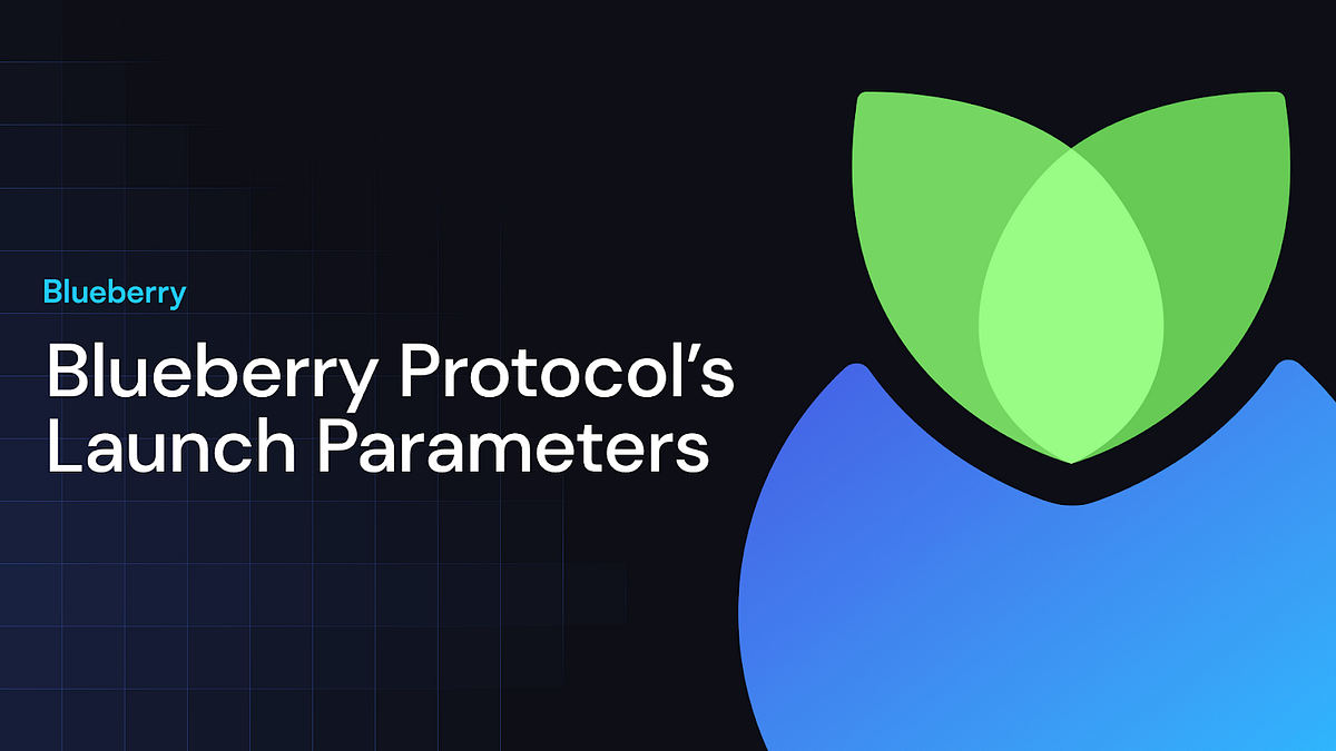 Blueberry Protocol’s Launch Parameters | by Blueberry & Bloom Protocols | Medium