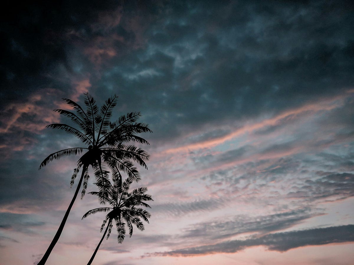 The Two Faithful Witness. Photo by Nijwam Swargiary on Unsplash | by ...