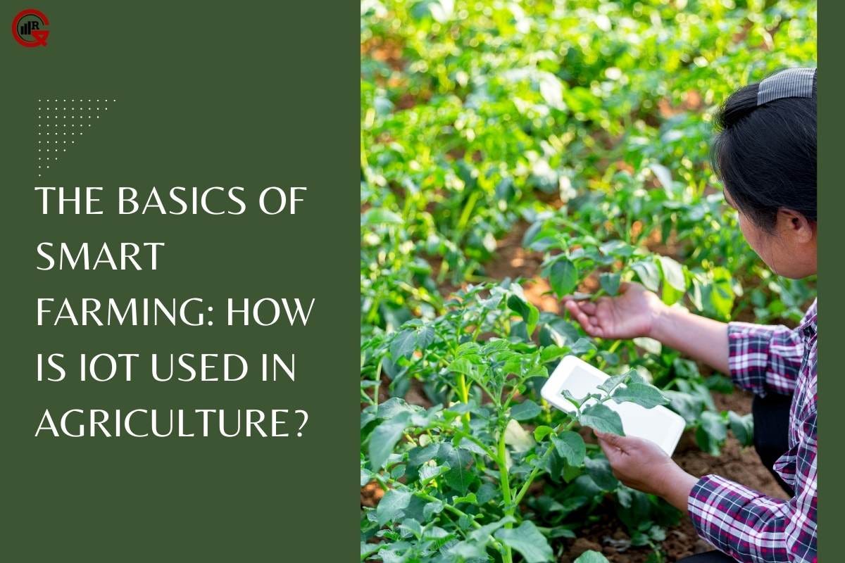 The Basics Of Smart Farming: How Is IoT Used In Agriculture? | by GQ ...