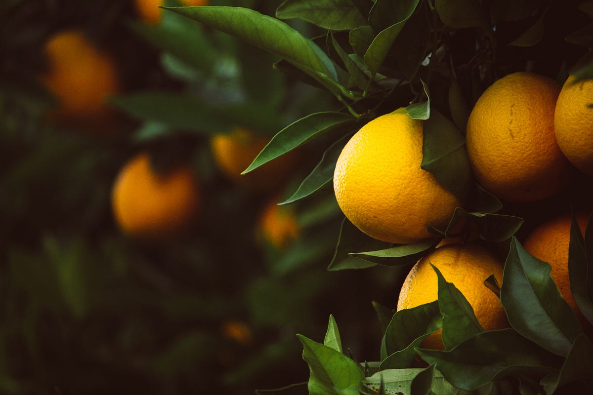 Rotten Oranges — Day 3 (Python). The rotten oranges question is one of ...