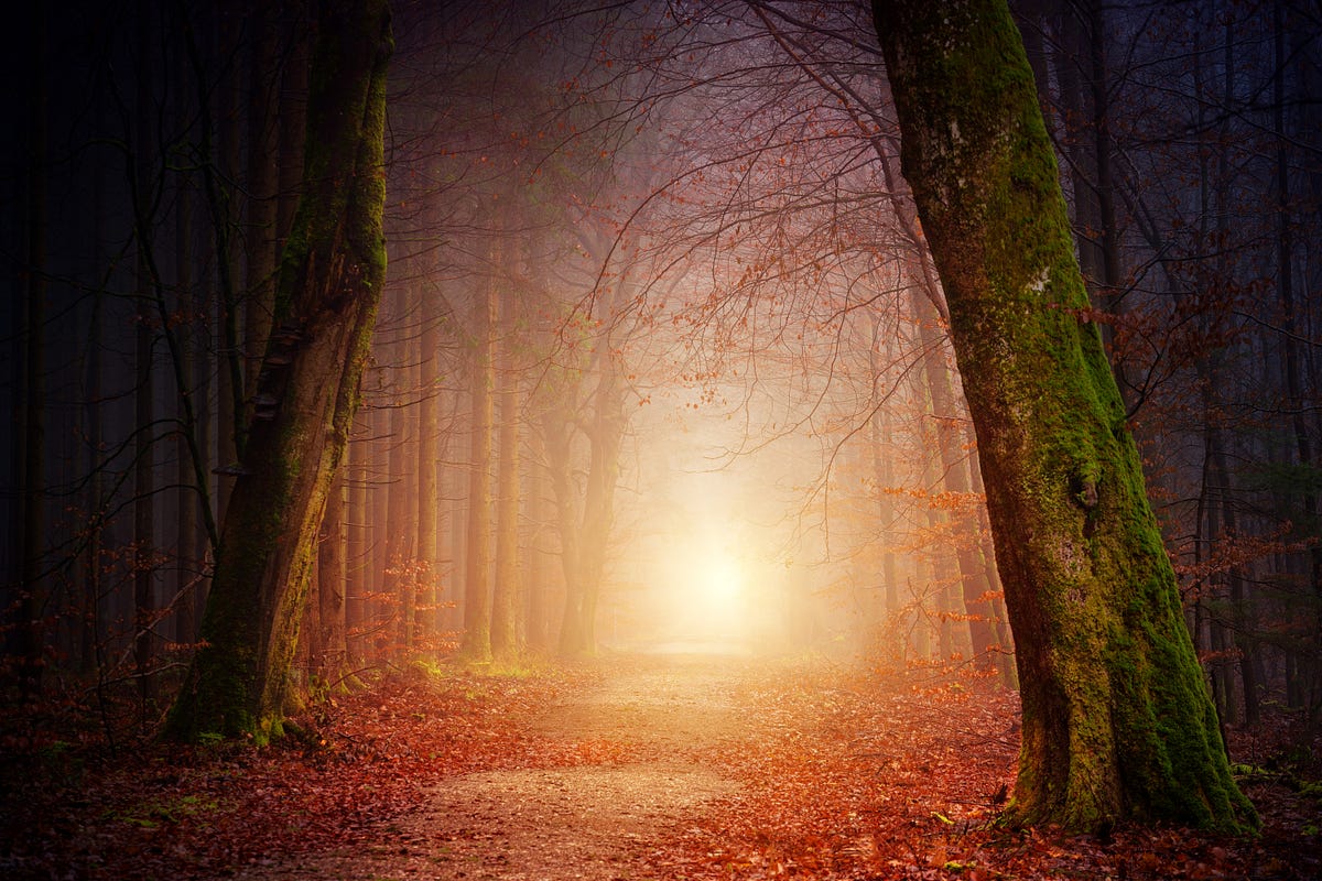 The Marchen Chronicles. The Germans called fairy tales Märchen… | by ...