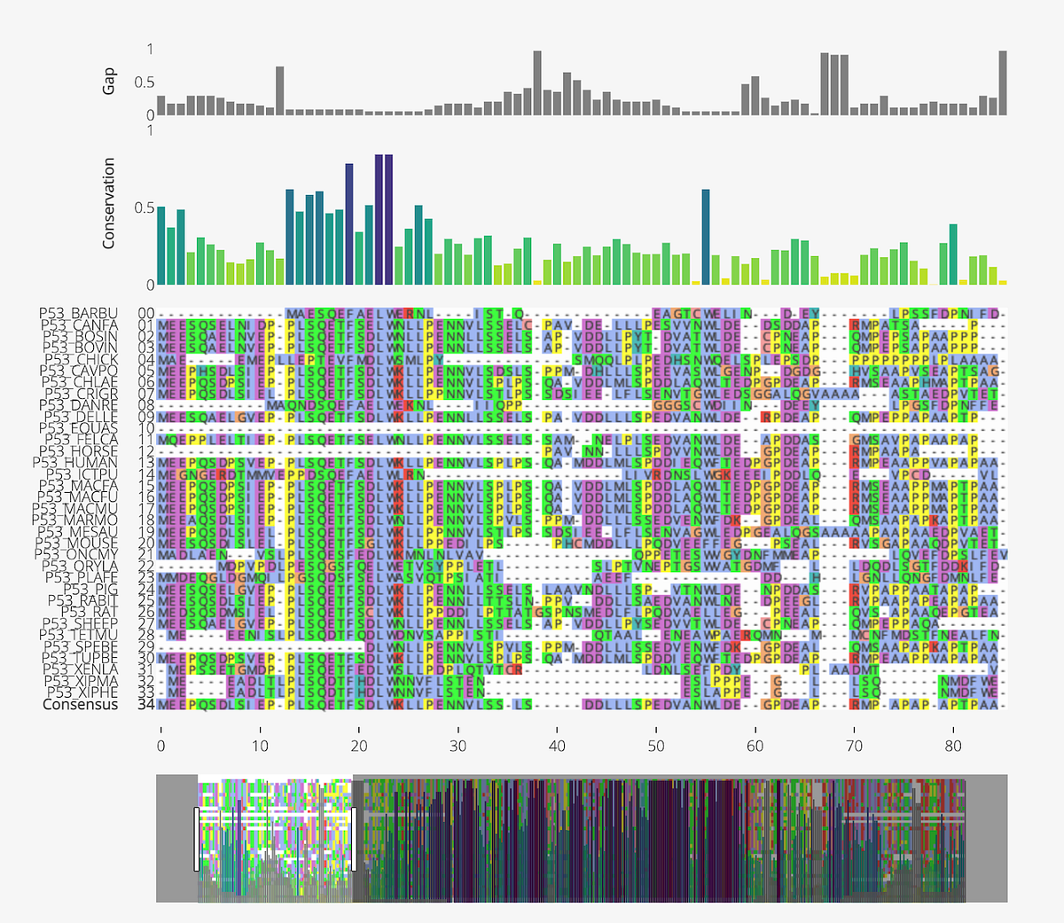 How Dash transforms Next Generation Sequencing Quality Control | by ...