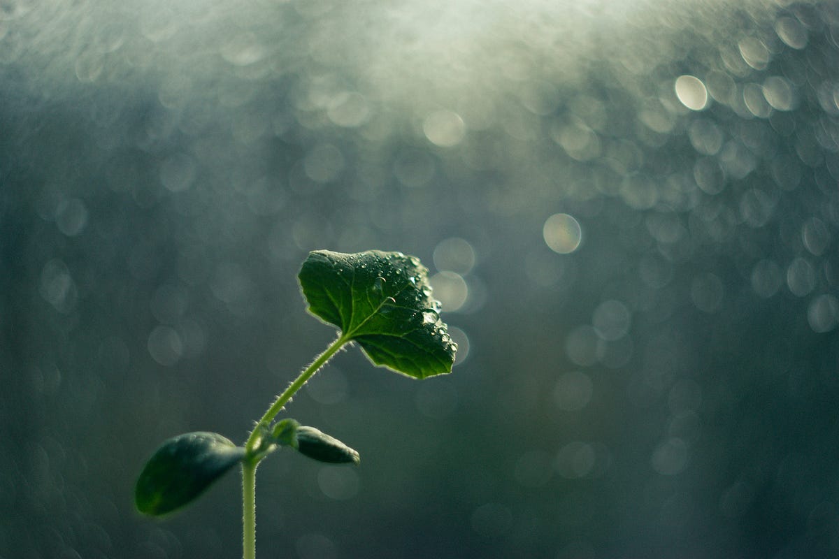 From Proving to Improving. A Shift That Changes Everything | by Akhi ...