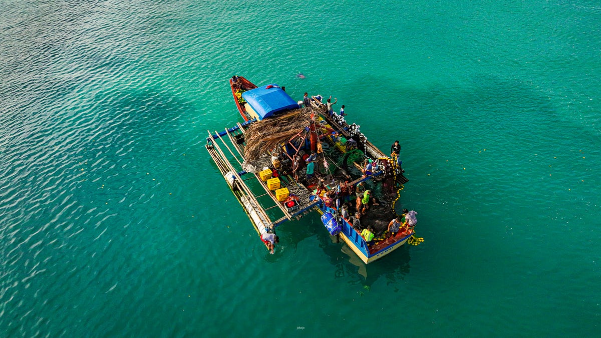 See them, our sea-men!. Listen well to the stories we hold. | by Fayth Ong | Medium