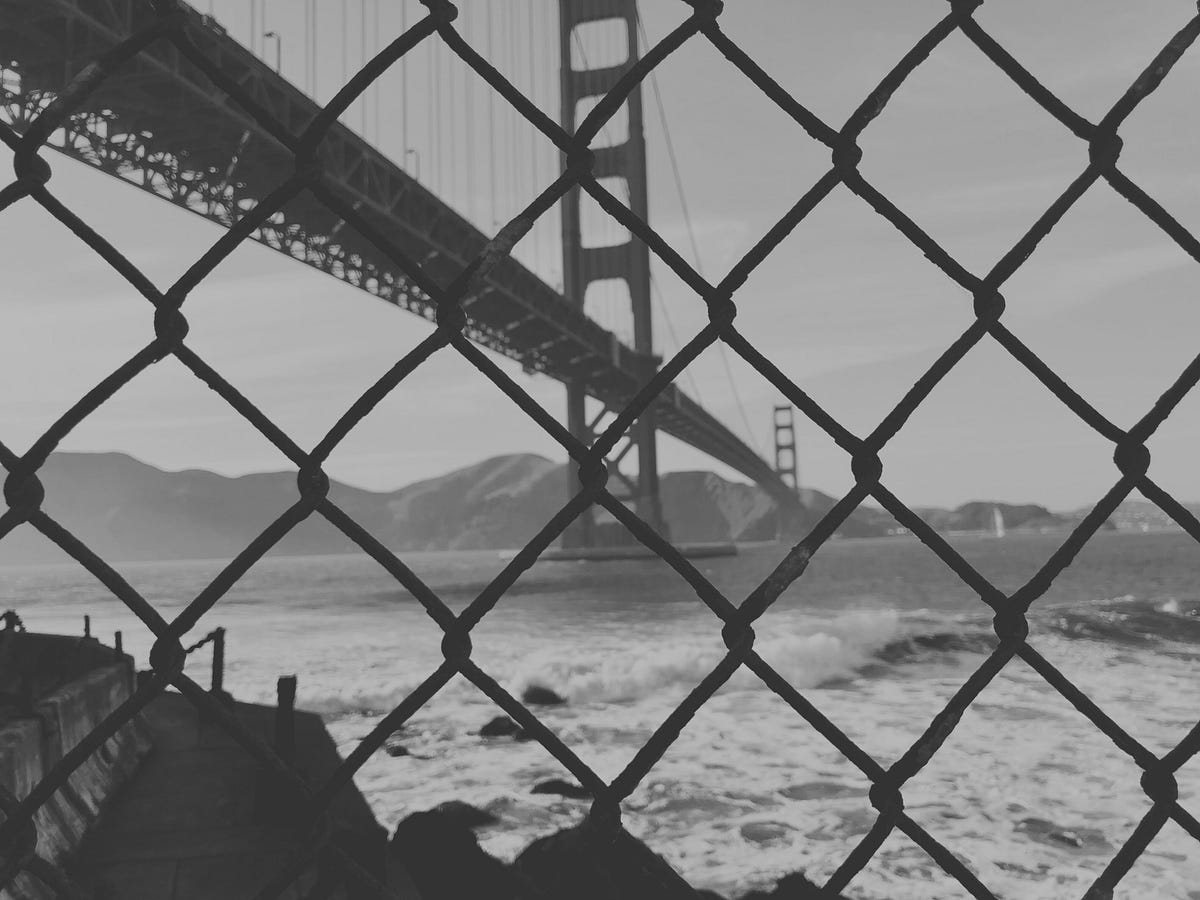 Adding A Border To The Image Using Numpy By Sameer Analytics Vidhya Medium