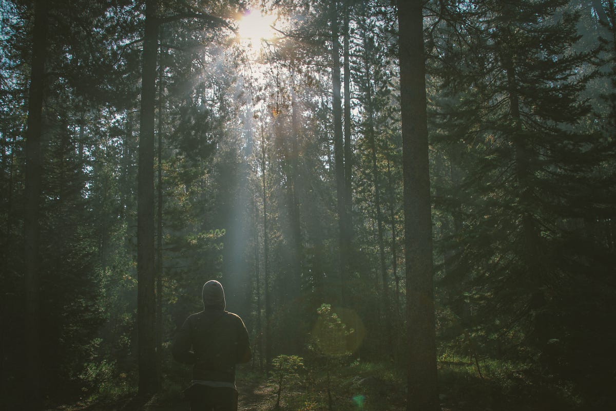 Embracing Aloneness. Choosing sobriety and finding the… | by Gillian ...