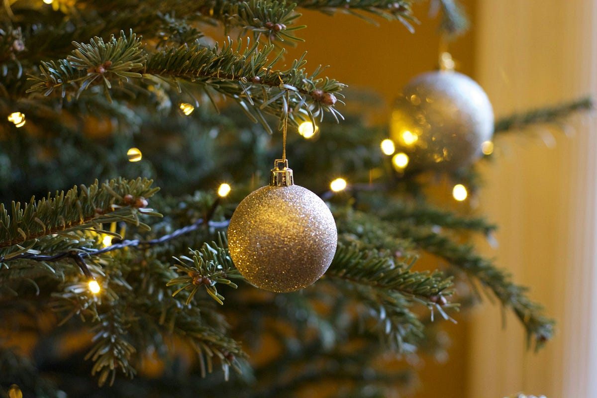 Hourly Itinerary of The Back of the Christmas Tree Who Just Read “The ...
