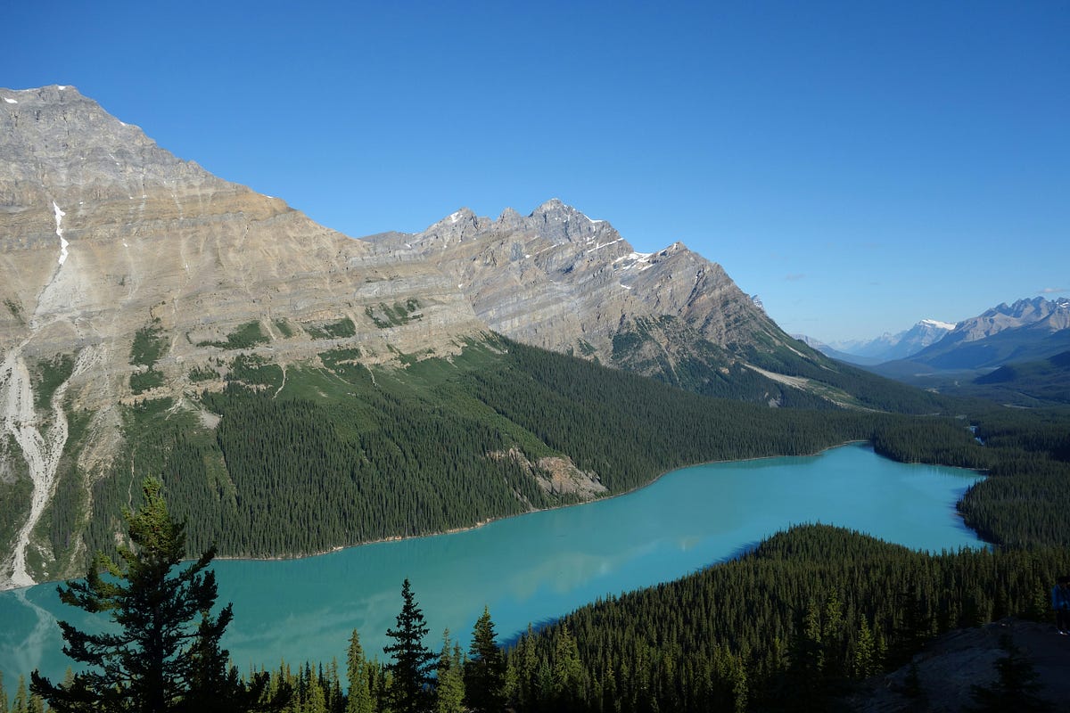 Whispers in the Wind. Shane hiked past the map signage of the… | by ...