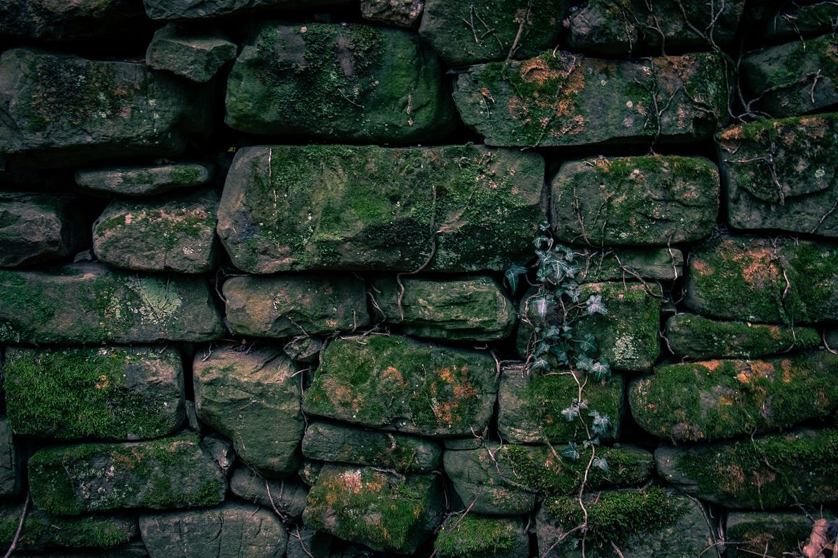 Day 4: Mending Wall — Robert Frost - Temiloluwa Ala - Medium