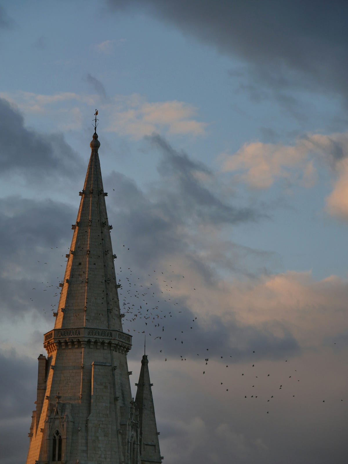 The Tower of Babel | Ghazal & Hall | by Sherrice Branch | Linguistic ...