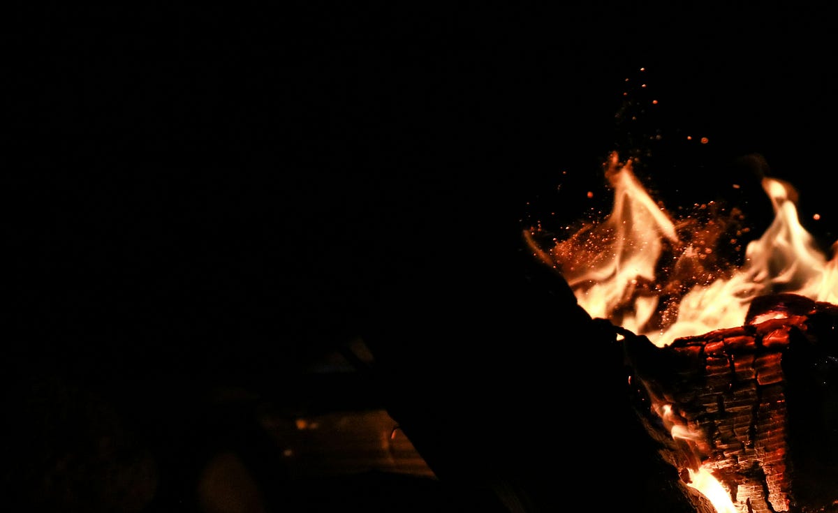 Ashes - Bella Rose - Medium