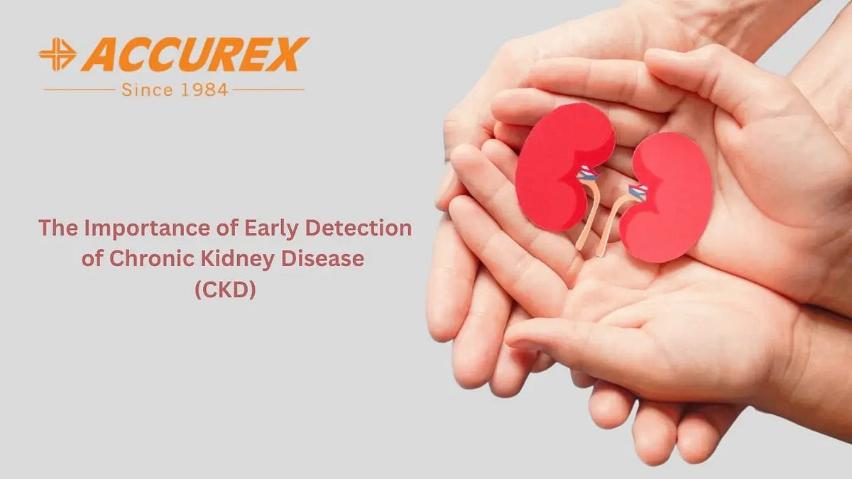 The Importance of Early Detection of Chronic Kidney Disease (CKD) | by ...