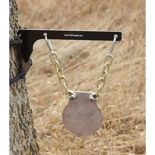 Hanging Steel Targets | by Andrea Reyes | May, 2024 | Medium
