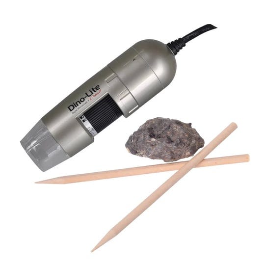 Digital Microscopes | by Jacob Cisneros | Jul, 2024 | Medium