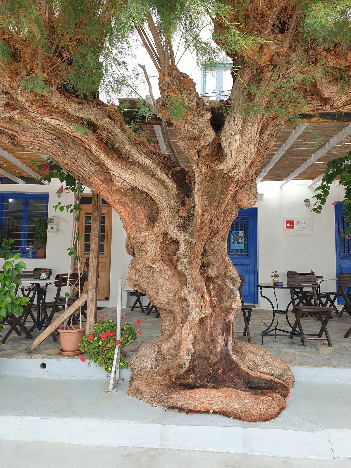 You Probably Shouldn’t Emigrate if You Can’t Do This One Thing | by ...