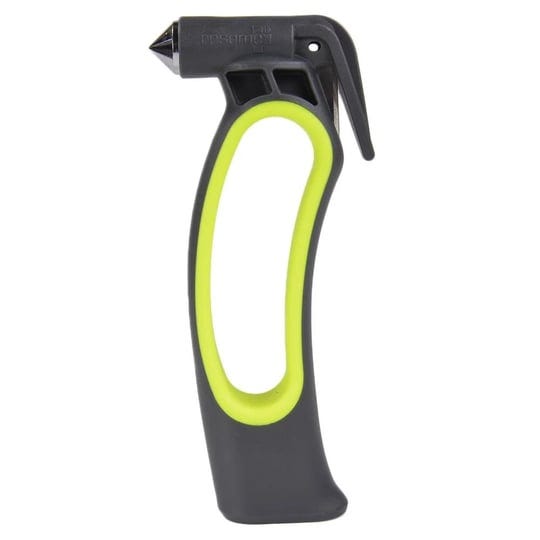 Window Breakers | by Mrs. Jane Rodriguez DVM | Jun, 2024 | Medium