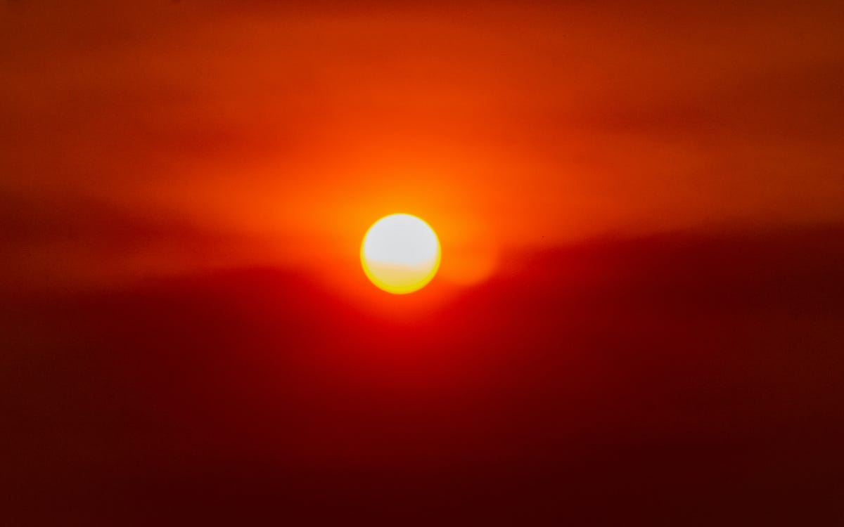 Sun Burned. Gambling on Endless Second Chances | by 🄿ixel 🄵loyd | Know ...