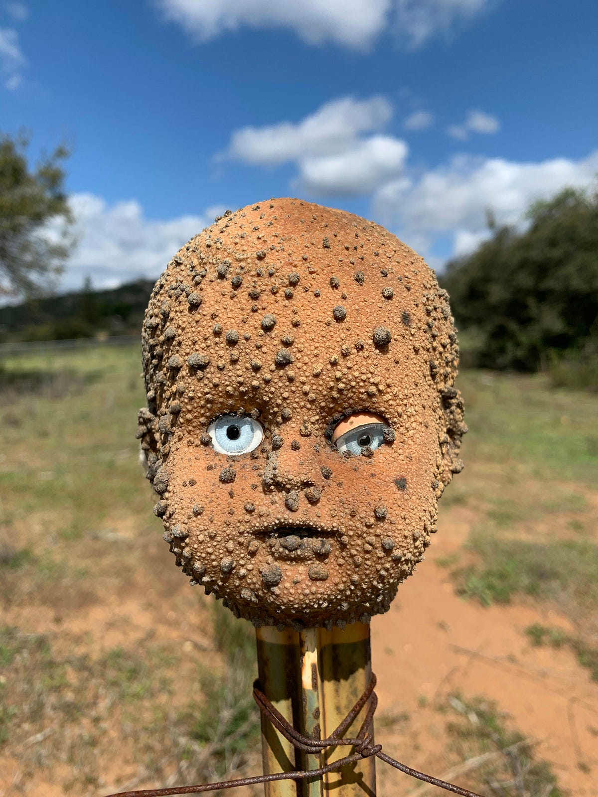 Hanging by a Thread: The Chilling Truth Behind Mexico’s Doll Island ...