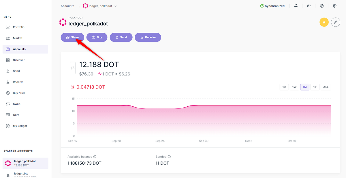 STAKING DE POLKADOT (DOT) PELO LEDGER LIVE | by Virginia A. Haubert ...