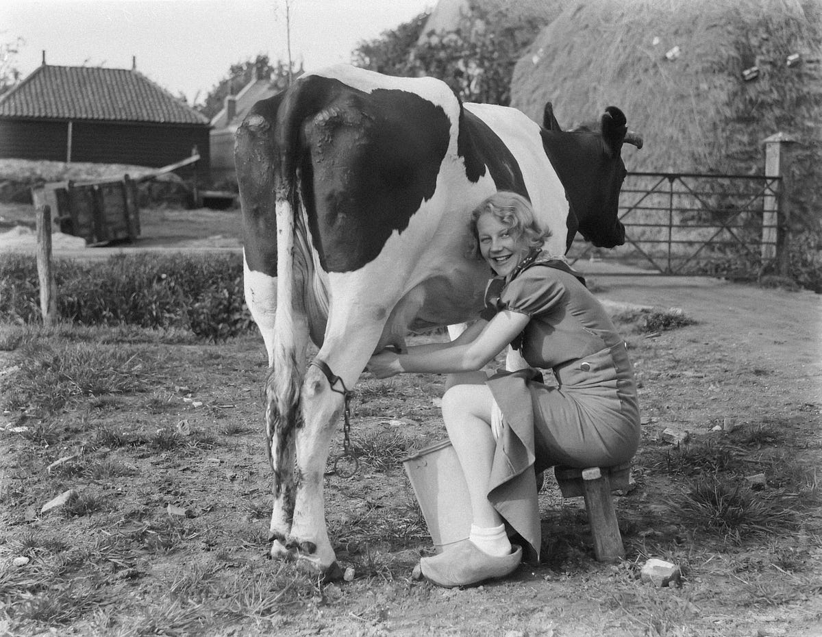 Tuesday, July 28 to Monday, August 3, 1964 | by SFM | Mom-Mom’s ...