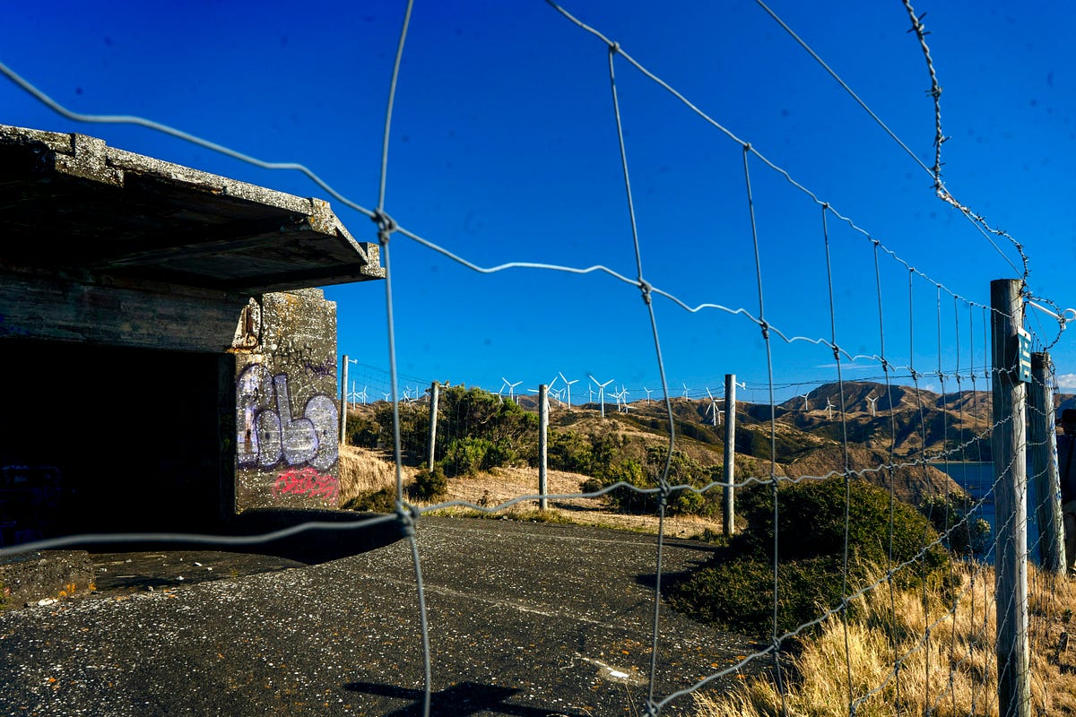 Preparedness and Resilience: Surviving Climate Change | by Anthony ...