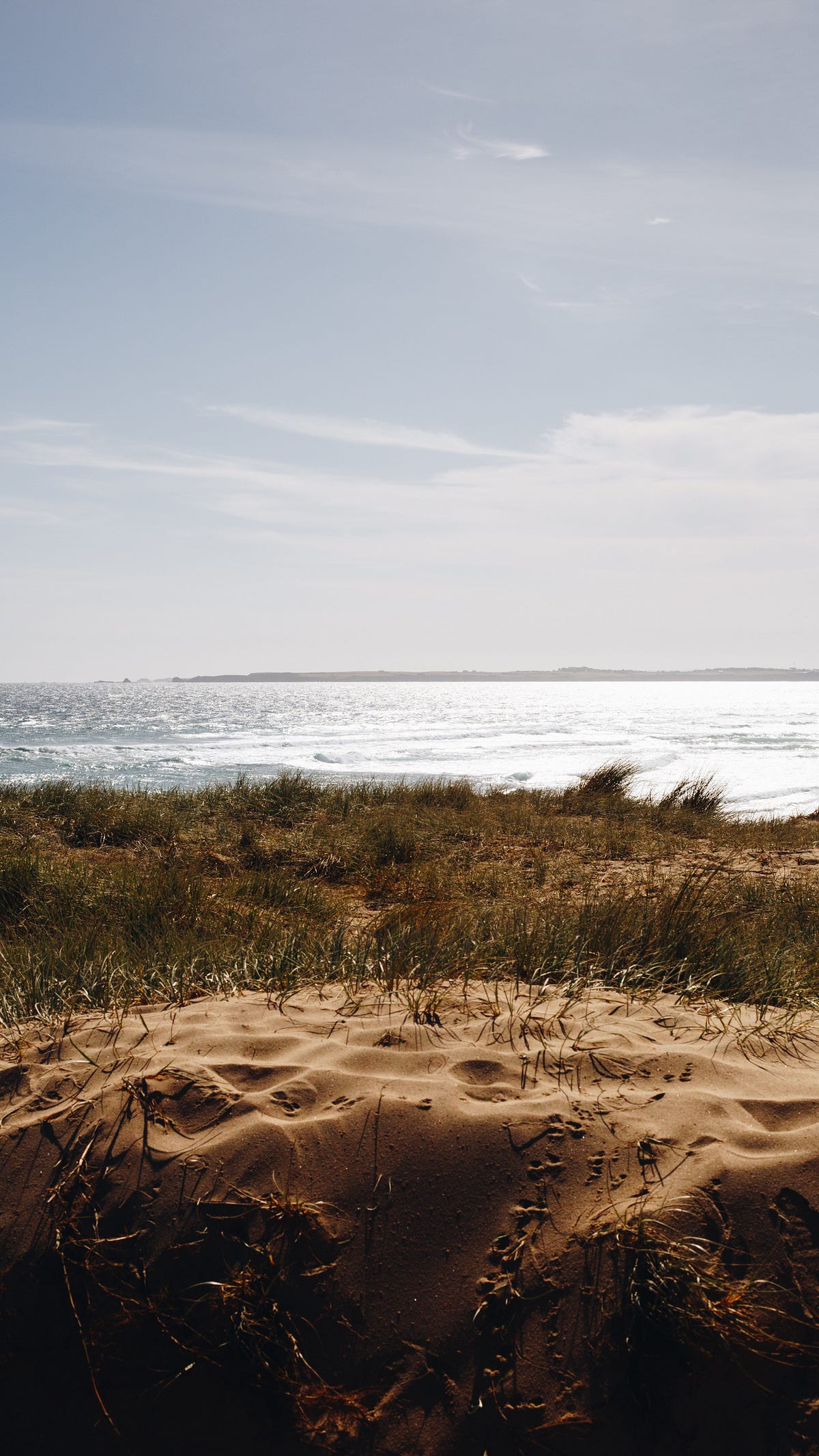Sun-Dappled Ocean. From warm sand behold a dazzling ocean… | by ...