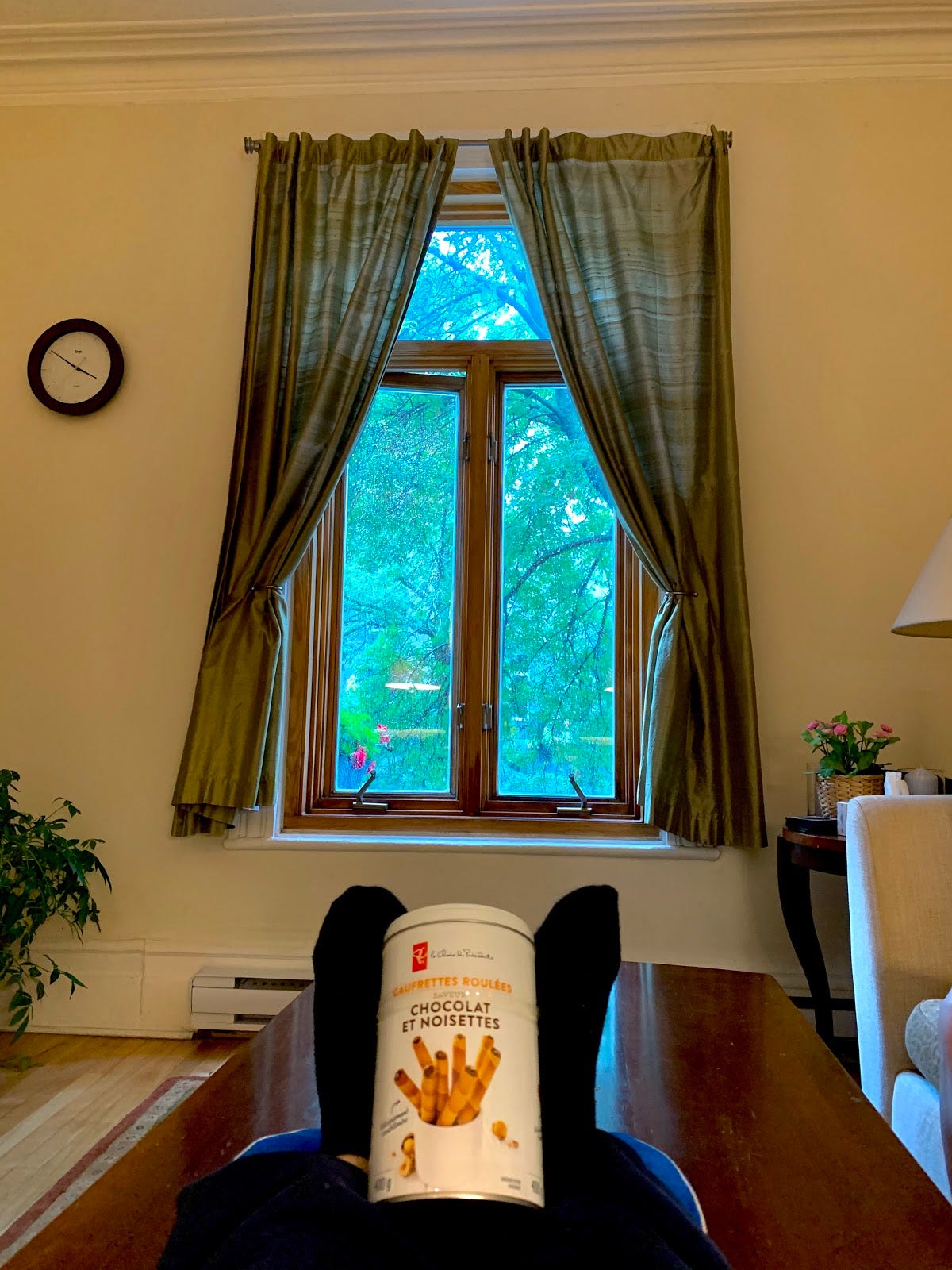 A Canadian Quarantine — Day 7. Still Life | by Jim Vanides | Medium