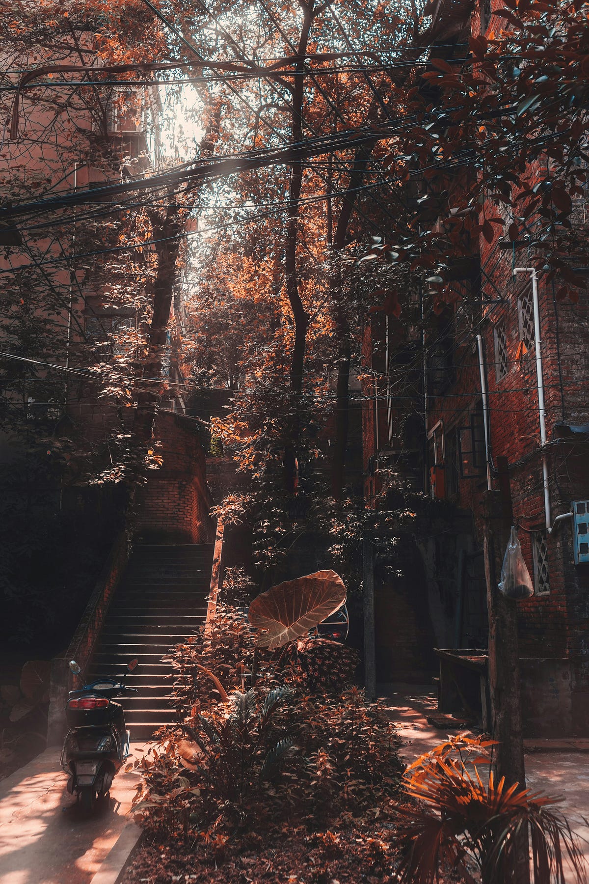 Nostalgia. A POEM | by Umaima Irfan | Reaching Hearts | Apr, 2024 | Medium